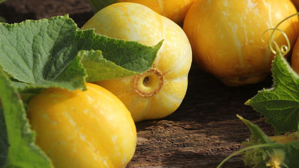 10 Lemon Cucumber Recipes That We Love