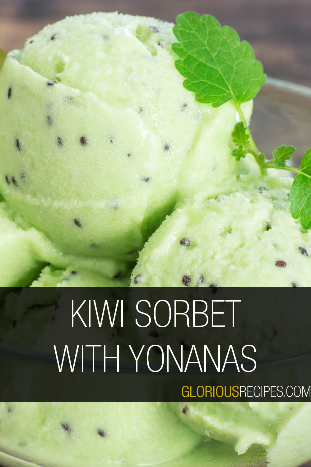 20 Best Yonanas Recipes For A Sweet Treat