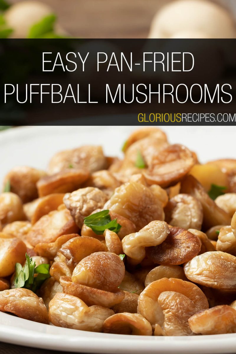 18 Amazing Puffball Mushroom Recipes