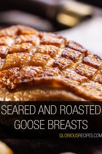 20 Best Goose Breast Recipes To Try