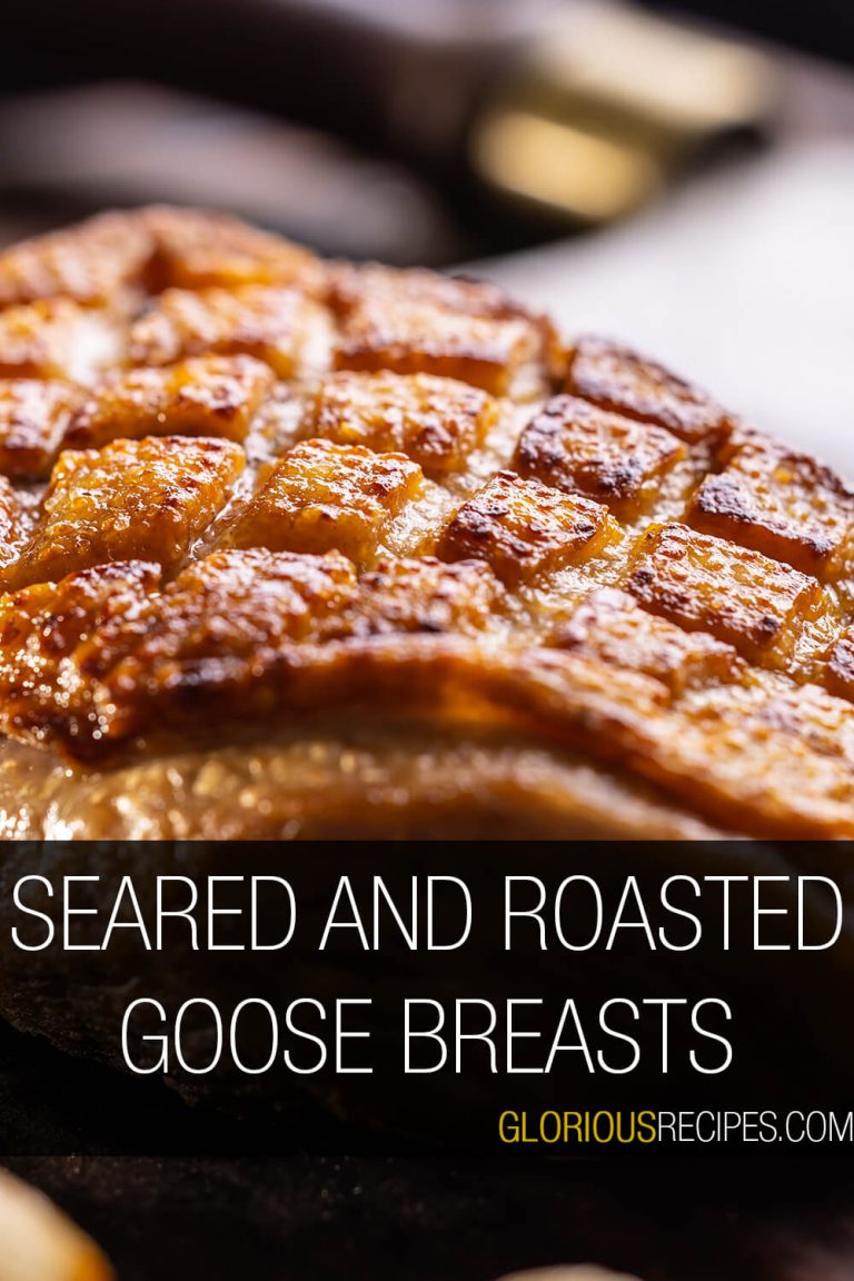 20 Best Goose Breast Recipes To Try
