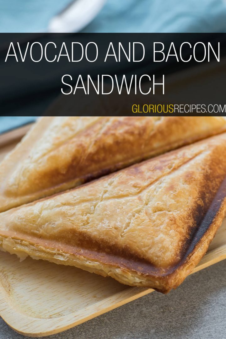 18 Fantastic Sandwich Maker Recipes To Try