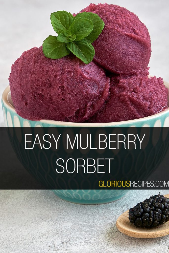 30 Best Mulberry Recipes To Try
