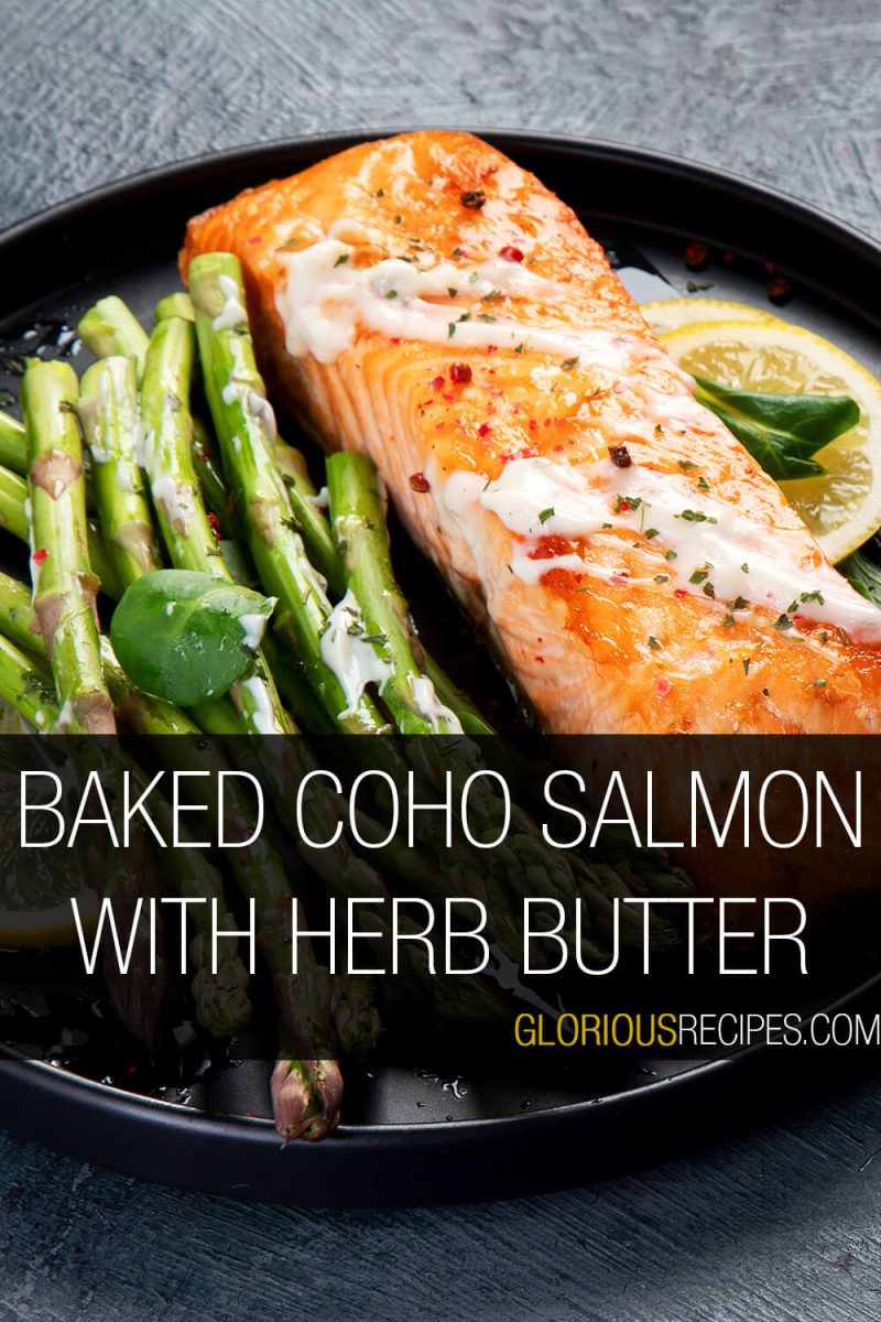 20 Best Coho Salmon Recipes To Try