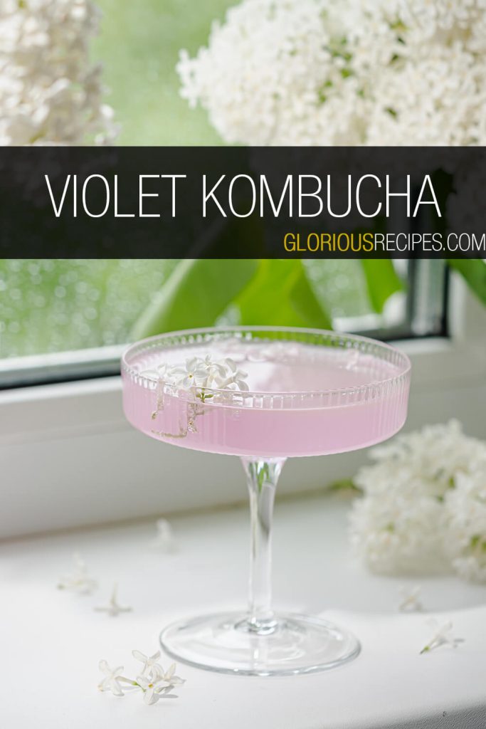 20 Best Crème De Violette Cocktails To Try