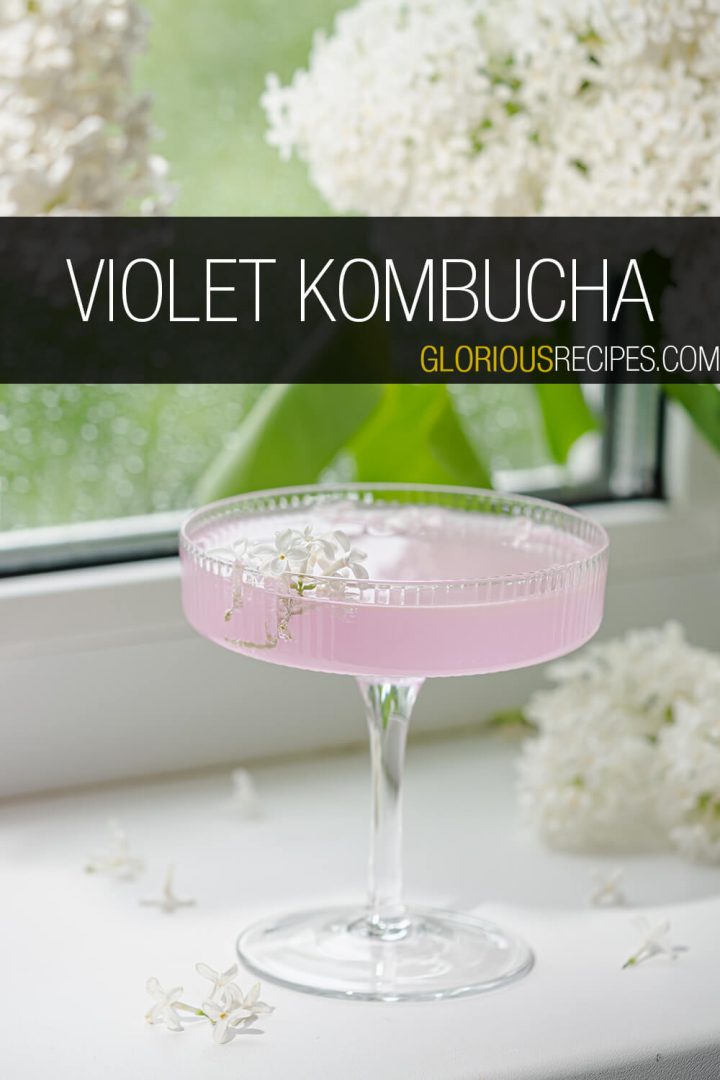 20 Best Crème De Violette Cocktails To Try