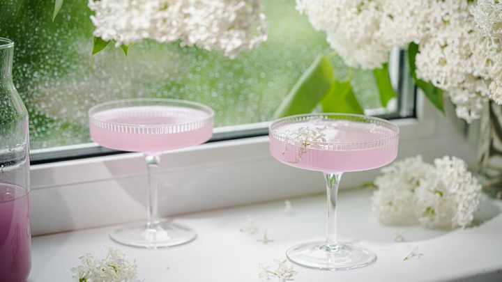 20 Best Crème De Violette Cocktails To Try